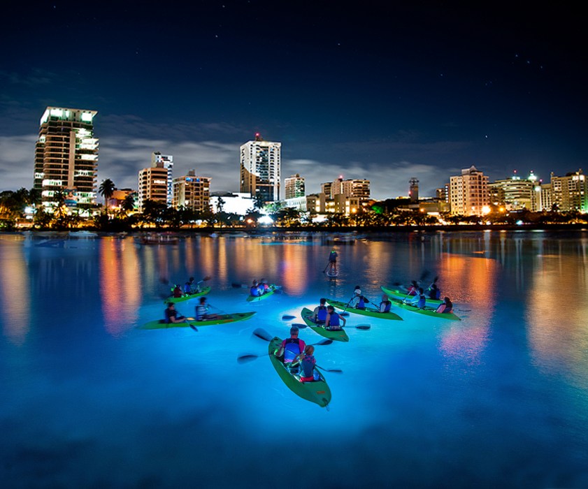 Puerto Rico Night Kayak Tour | Night Kayak